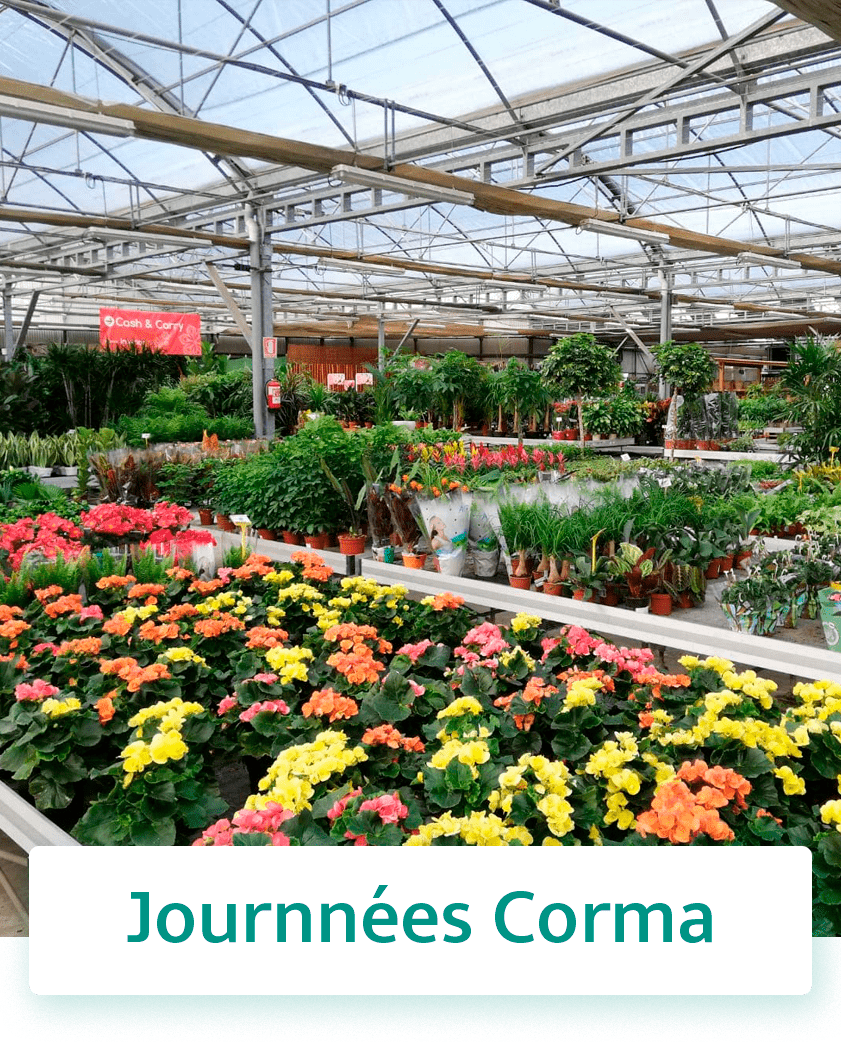 Corma – Cooperativa de productors de planta ornamental CORMA